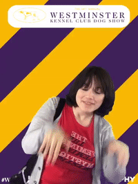 Exposition GIFs - Get the best gif on GIFER