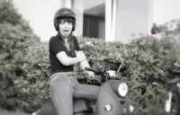 Toonces GIFs - Get the best gif on GIFER