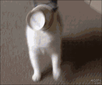 Beep GIFs - Get the best gif on GIFER