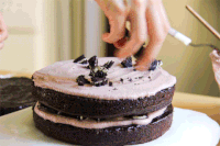 Oreo GIFs - Get the best gif on GIFER