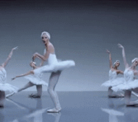 Shake GIFs - Get the best gif on GIFER