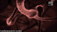 Microbiology GIFs - Get the best gif on GIFER