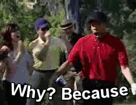 Becausetiger GIFs - Get the best gif on GIFER