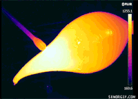 Thermal GIFs - Get the best gif on GIFER