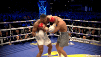 Boxeo GIFs - Get the best gif on GIFER