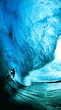 Surfer GIFs - Get the best gif on GIFER