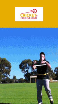 Precise GIFs - Get the best gif on GIFER