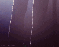 Bc GIFs - Get the best gif on GIFER