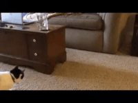 Intersection GIFs - Get the best gif on GIFER