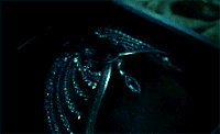 Ravenclaw GIFs - Get the best gif on GIFER