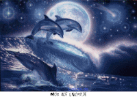 504 GIFs - Get the best gif on GIFER