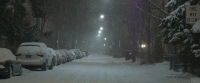 Toronto GIFs - Get the best gif on GIFER