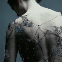 Devonstern GIFs - Get the best gif on GIFER