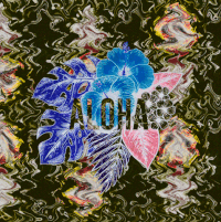 Aloha GIFs - Get the best gif on GIFER