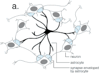 Neural networks GIFs - Get the best gif on GIFER