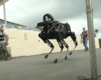 Rising GIFs - Get the best gif on GIFER