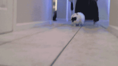 Pressa GIF - Conseguir o melhor gif em GIFER