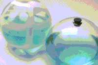 Phytoplankton GIFs - Get the best gif on GIFER