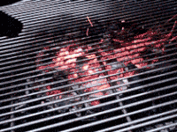 Gril GIFs - Get the best gif on GIFER
