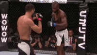 Ufc GIFs - Get the best gif on GIFER