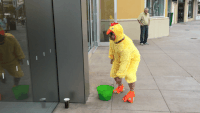 Poultry GIFs - Get the best gif on GIFER