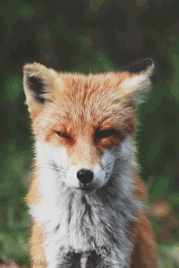 Wiffle GIFs - Get the best gif on GIFER