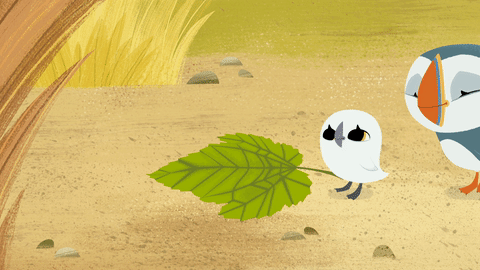 Tumbl GIFs - Get the best gif on GIFER