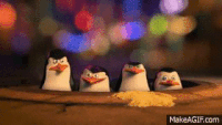 Madagascar GIFs - Get the best gif on GIFER