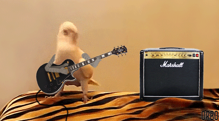 Rock star GIF - Conseguir o melhor gif em GIFER