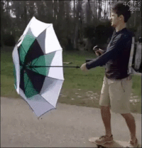 Umbrella GIFs - Get the best gif on GIFER