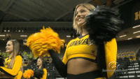 Hawkeyes GIFs - Get the best gif on GIFER
