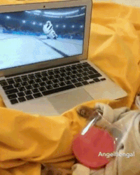 Telemarketing GIFs - Get the best gif on GIFER