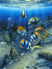 Pods GIFs - Get the best gif on GIFER