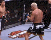 Third GIFs - Get the best gif on GIFER