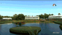 Dominance GIFs - Get the best gif on GIFER