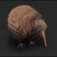 Kiwi GIFs - Get the best gif on GIFER
