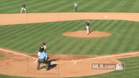 Rockies GIFs - Get the best gif on GIFER