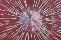 Uncertainty GIFs - Get the best gif on GIFER