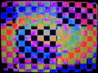 Checkered GIFs - Get the best gif on GIFER