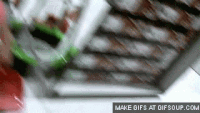 Whale tail GIFs - Get the best gif on GIFER