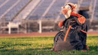 Hurdles GIFs - Get the best gif on GIFER