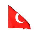Turkey GIFs - Get the best gif on GIFER