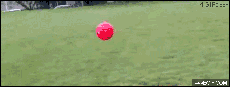 Redball GIFs - Get the best gif on GIFER