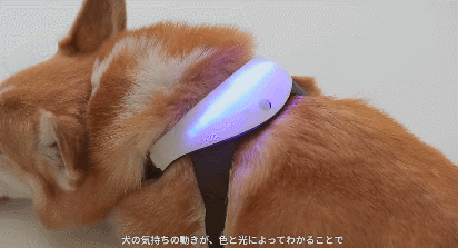 Usable GIFs - Get the best gif on GIFER