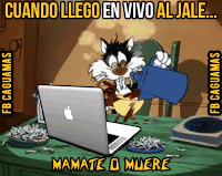 Chela GIFs - Get the best gif on GIFER