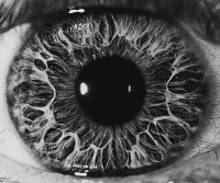 Steam GIFs - Get the best gif on GIFER