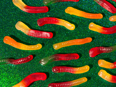 Worms GIF - Conseguir o melhor gif em GIFER
