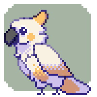 Cockatoo GIFs - Get the best gif on GIFER