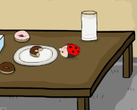 Insetos GIFs - Get the best gif on GIFER