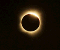 20k GIFs - Get the best gif on GIFER